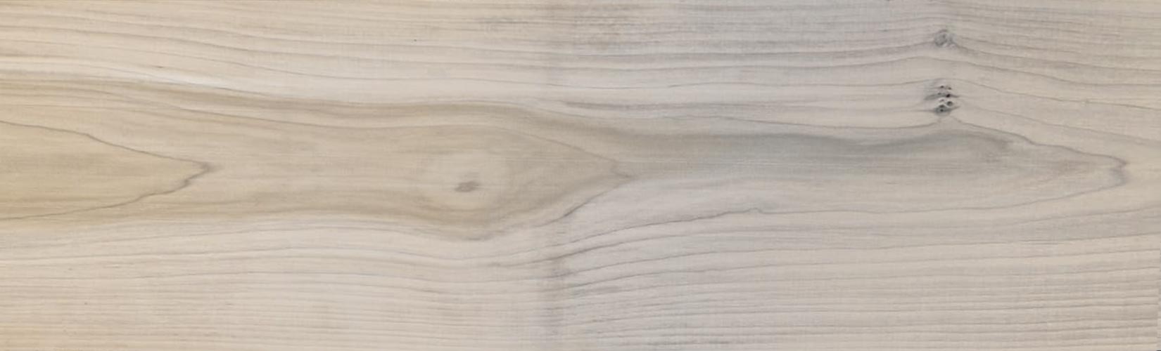 Tulipwood London - American Poplar London - Tulipwood (American Yellow ...